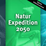 Die Multivision – Wir vermitteln Werte